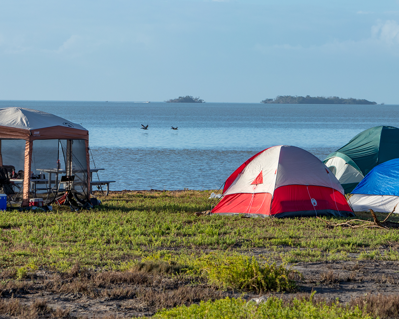 Camping Adventures in Everglades National Park - Flamingo Everglades