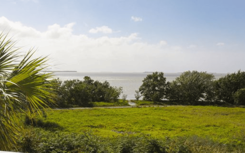 How to Plan a Scenic Kayak Trip Through the Everglades - Flamingo ...